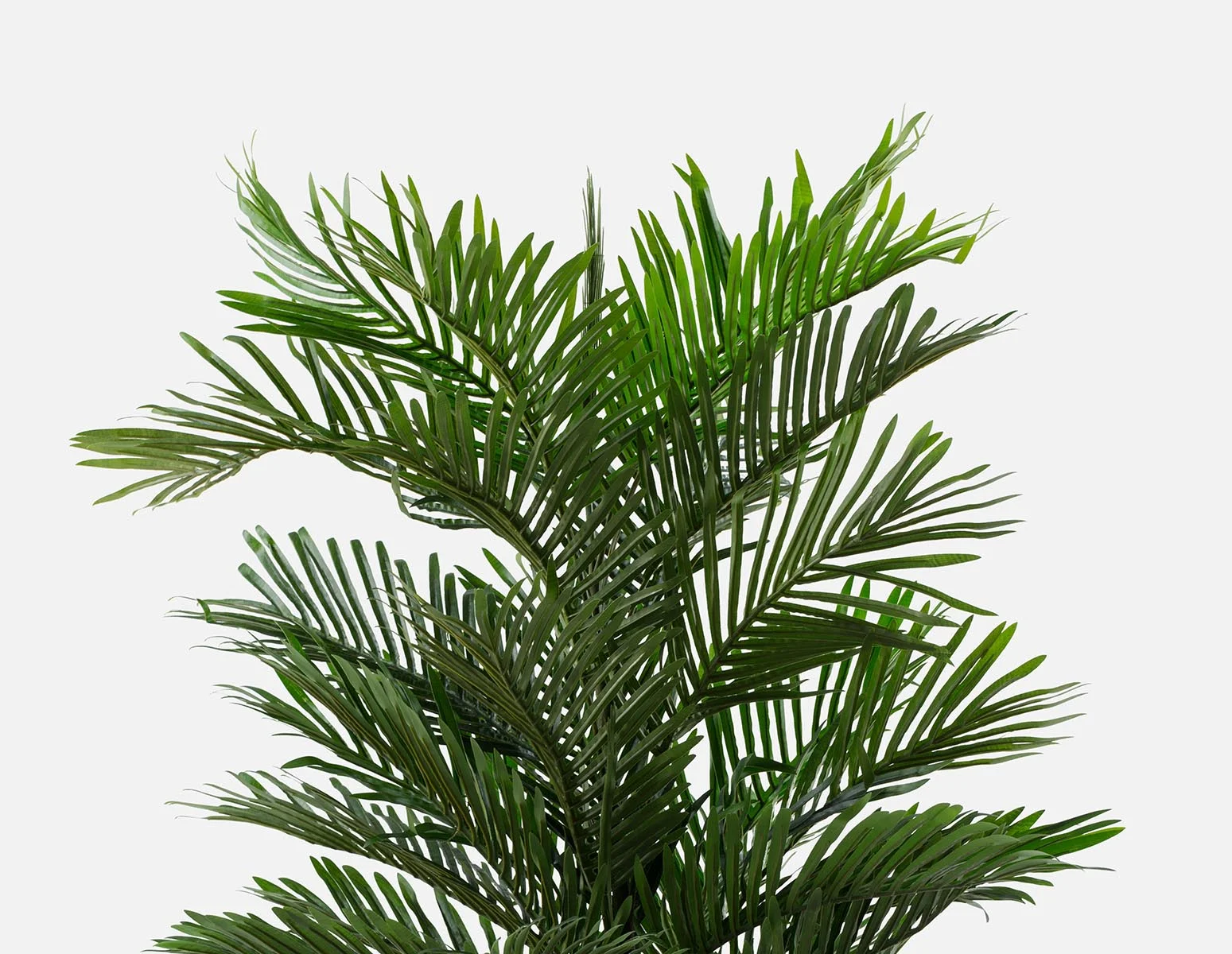 Descubra 99 kuva plante artificielle structube - Thptnganamst.edu.vn Descubra 99 kuva plante artificielle structube - Thptnganamst.edu.vn